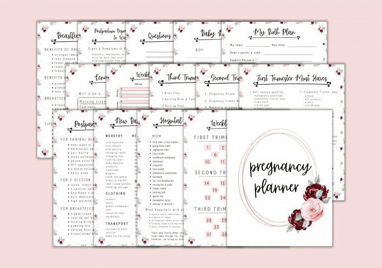 The Ultimate Printable Pregnancy Planner for Expecting Moms ...