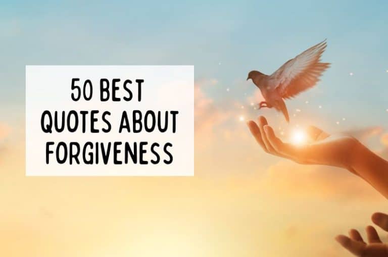 50 Forgiveness Quotes That EVERYONE Needs to Hear – Motivation for Mom
