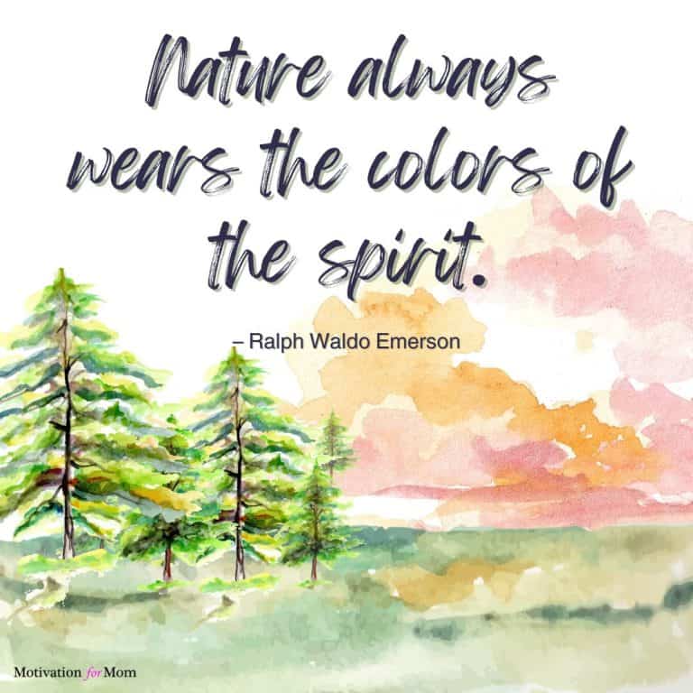 30 Nature Quotes About Being Outside & The Peace That It Brings ...