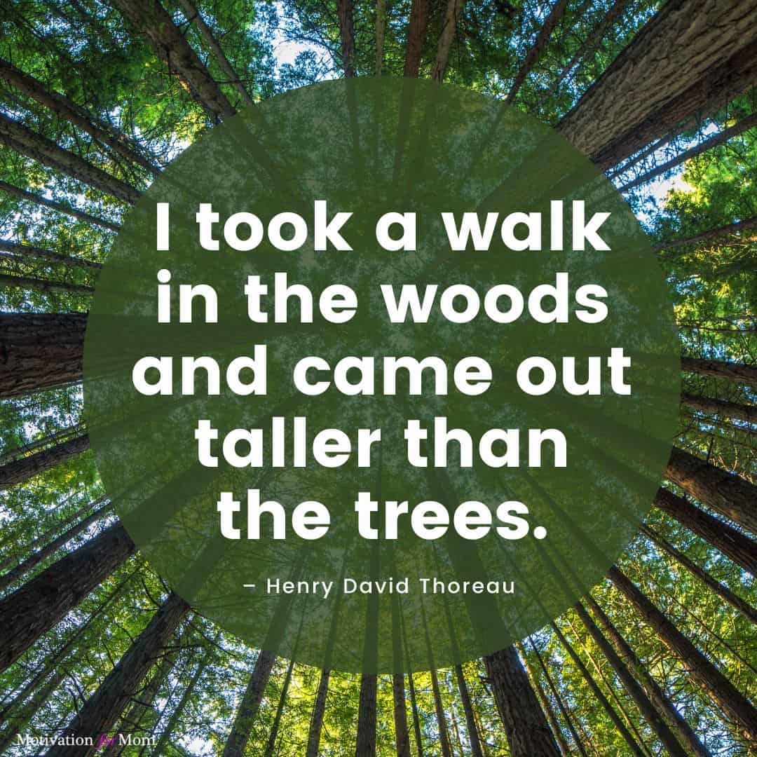 30 Nature Quotes About Being Outside & The Peace That It Brings ...