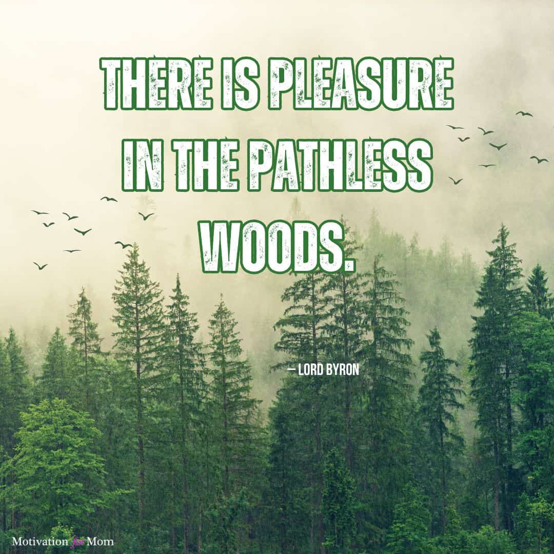 30 Nature Quotes About Being Outside & The Peace That It Brings ...