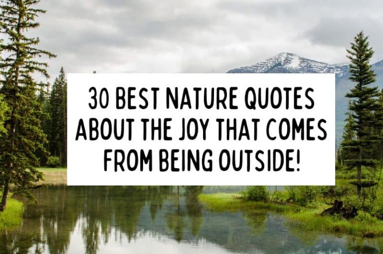 30 Nature Quotes About Being Outside & The Peace That It Brings ...