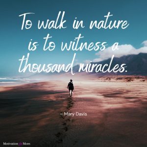 30 Nature Quotes About Being Outside & The Peace That It Brings ...