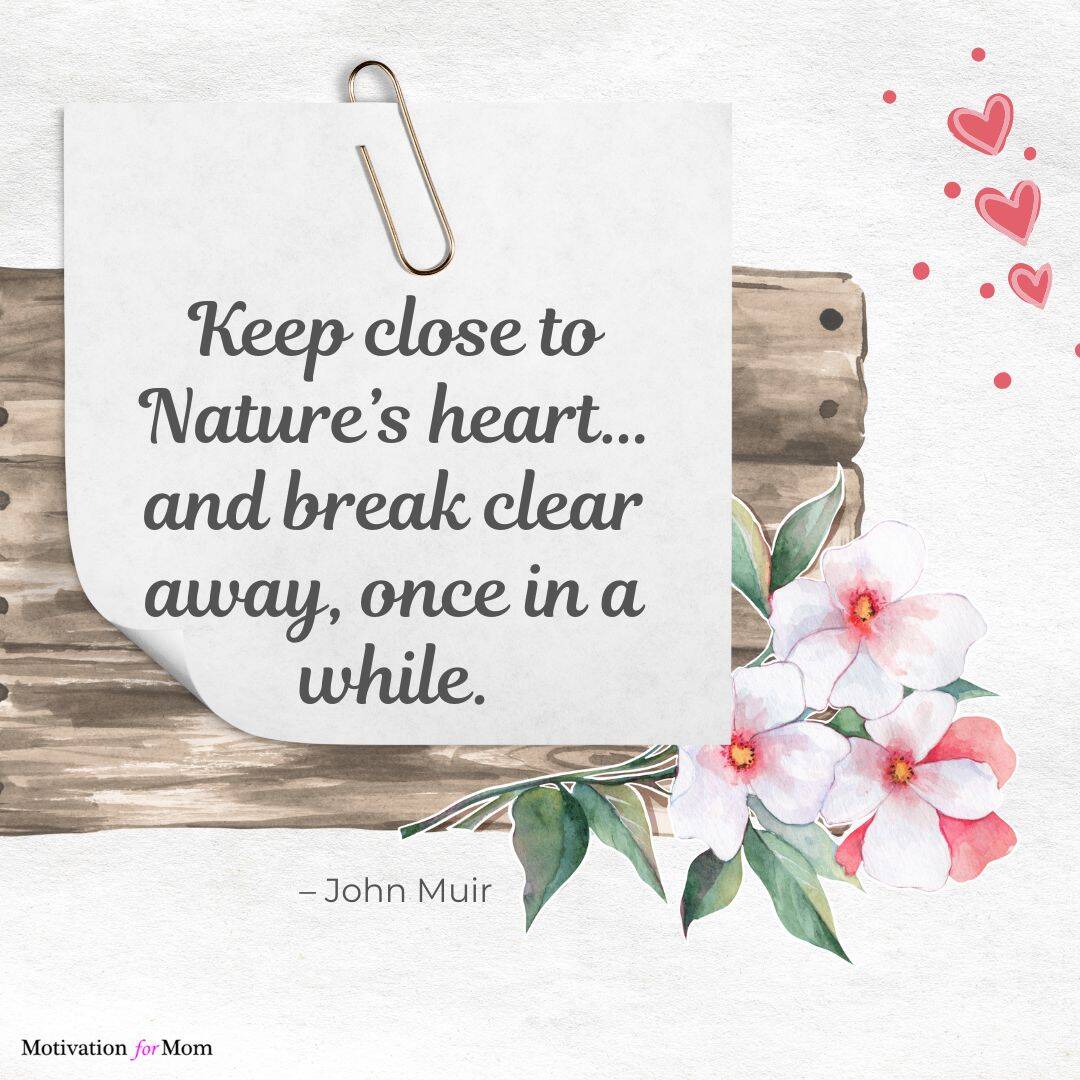 30 Nature Quotes About Being Outside & The Peace That It Brings ...