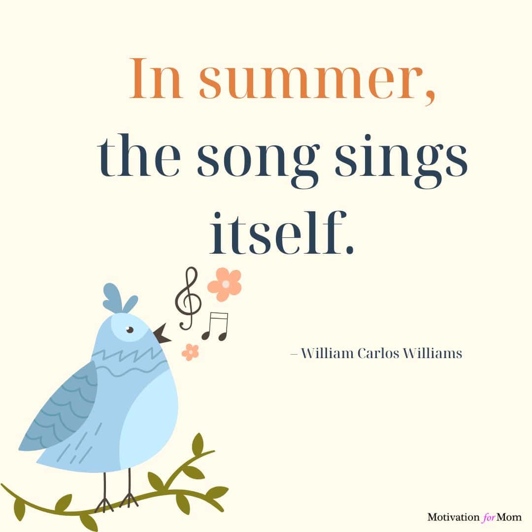 30 Best Quotes About Summer, Sunshine & Fun! – Motivation for Mom