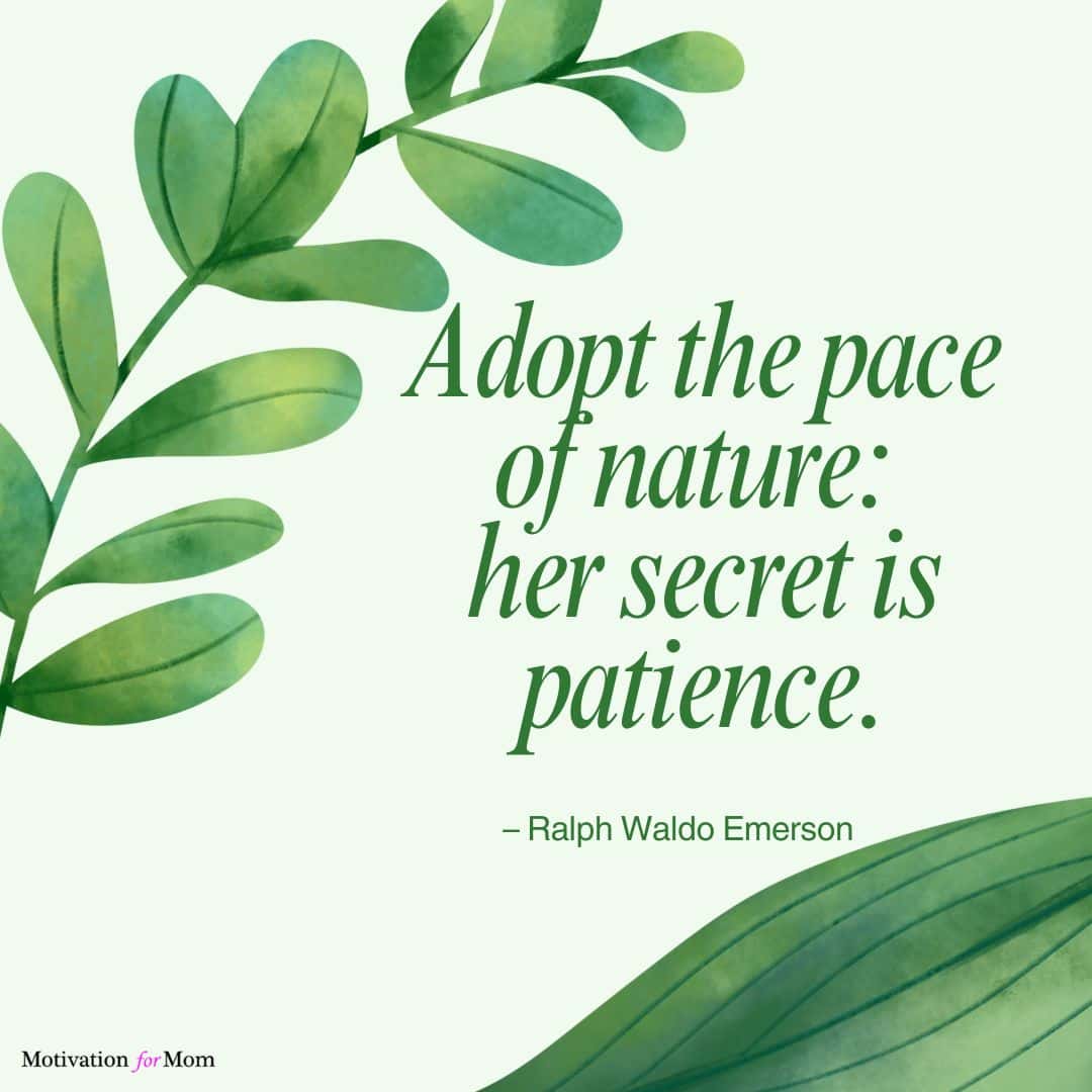 30 Nature Quotes About Being Outside & The Peace That It Brings ...